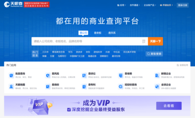 天眼查svip和vip区别 - 纳米AI搜索